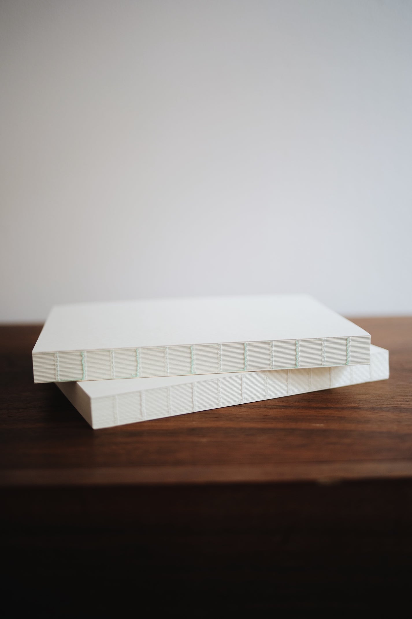 A5 Codex 1 Day 1 Page Notebook Journal - Blank – Martha Mae: Art ...